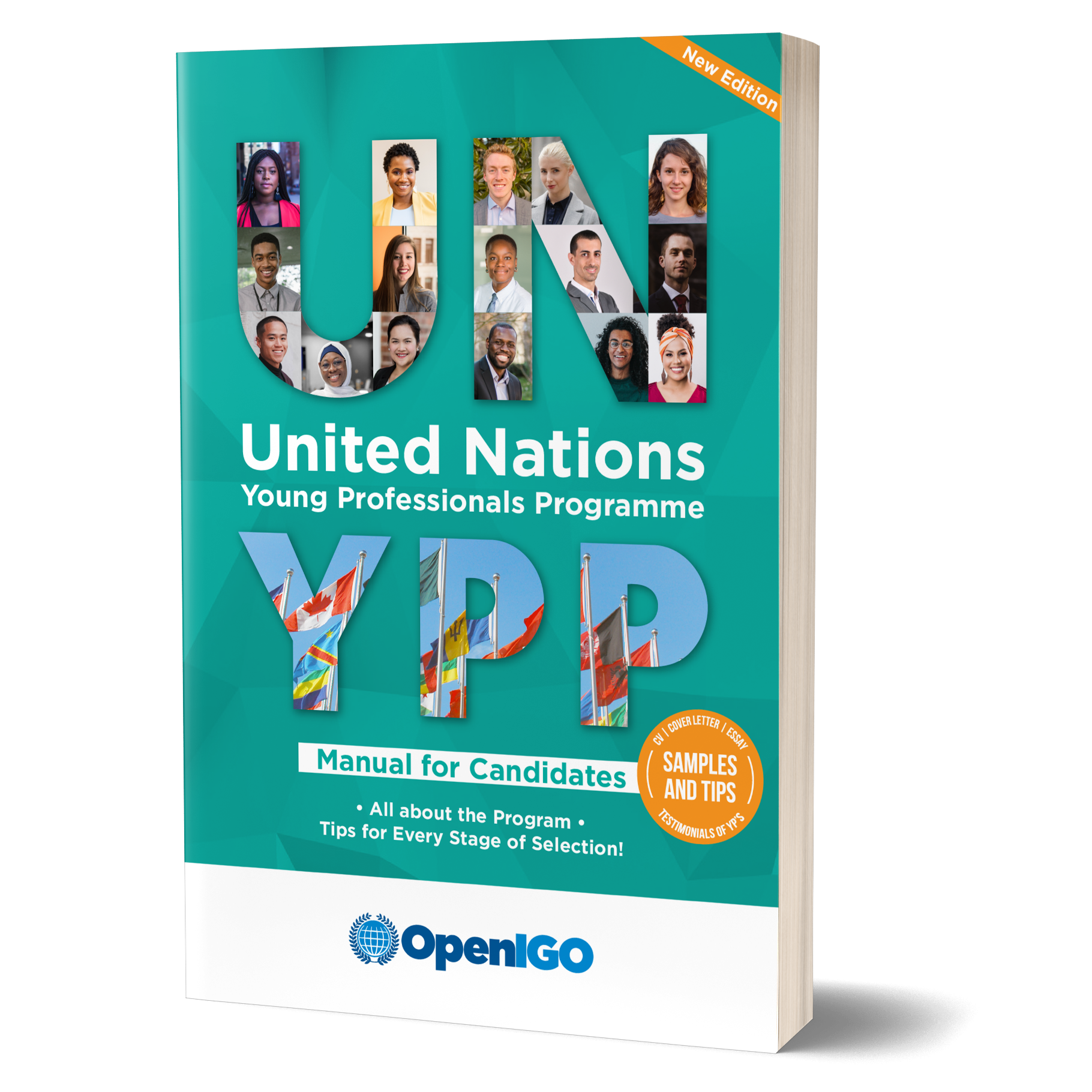 United Nations YPP 2026-27: Get Ready Today - OpenIGO