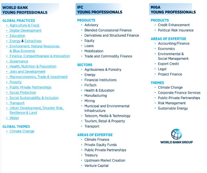 World Bank YPP Business Areas: Everything you need to know!